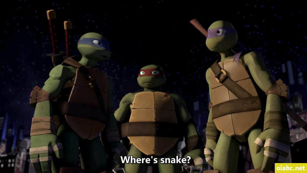 忍者神龟 Teenage Mutant Ninja Turtles 英文版第1/2/3/4/5季全124集高清720P视频MP4-我爱ABC